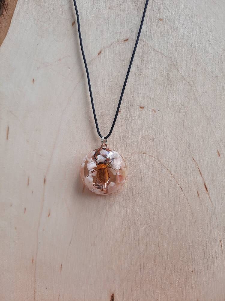 Real Cruelty Free Circle Shaped June Bug Necklace With Pink - Etsy