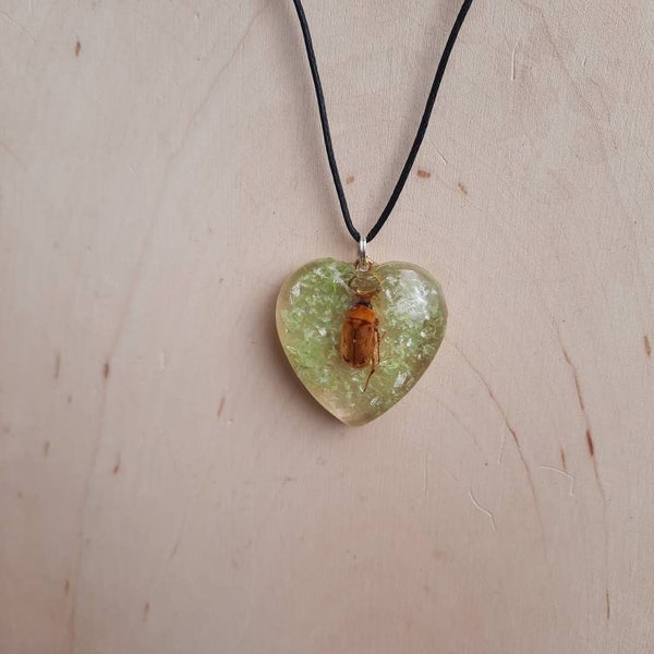 Real Bug - Etsy