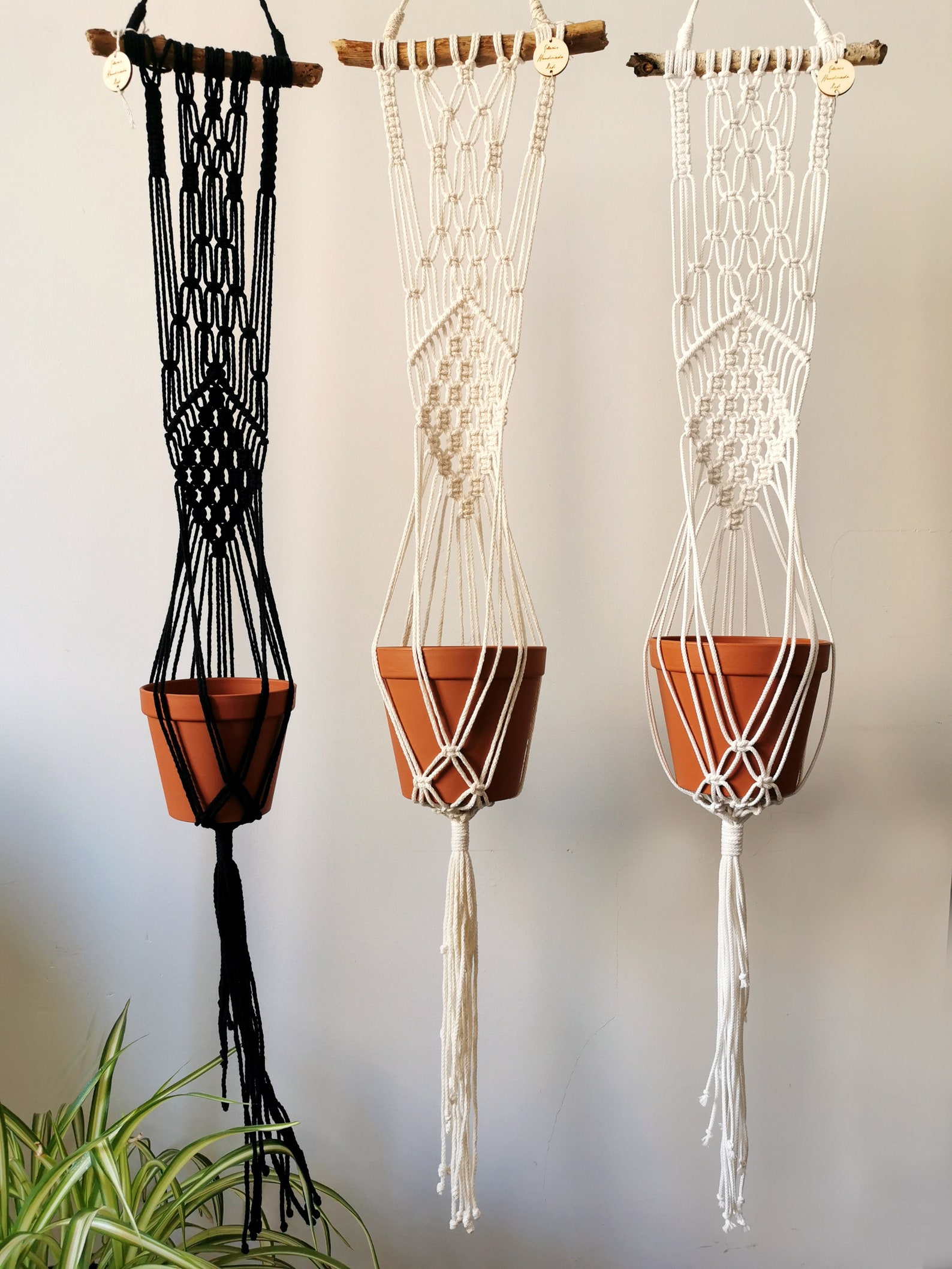 Long Hanging Planter / Macrame Plant Hanger / Modern Boho Decor / Black ...