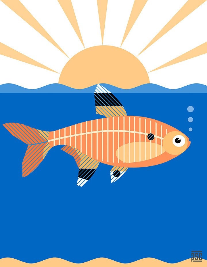 Xavier X-ray Fish Children's Animal Giclée Art Prints - Etsy UK