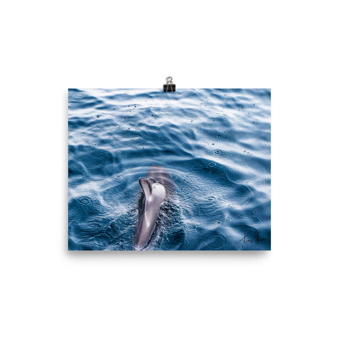Dolphin in the Ocean Print - Etsy