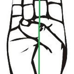 Custom Archery Shooting Tab split Finger - Etsy