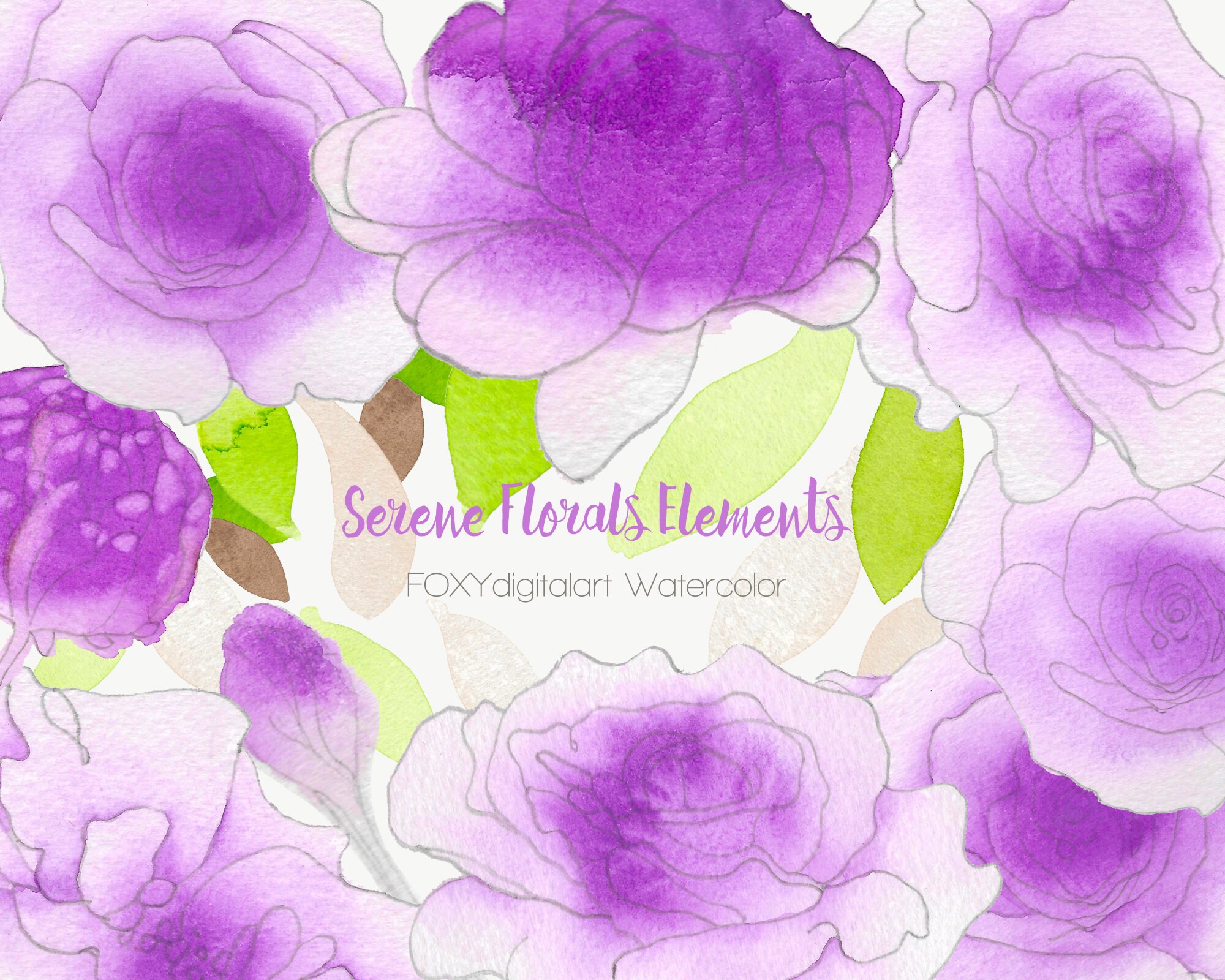 Watercolor Clipart Purple Roses Digital Floral Elements Hand - Etsy