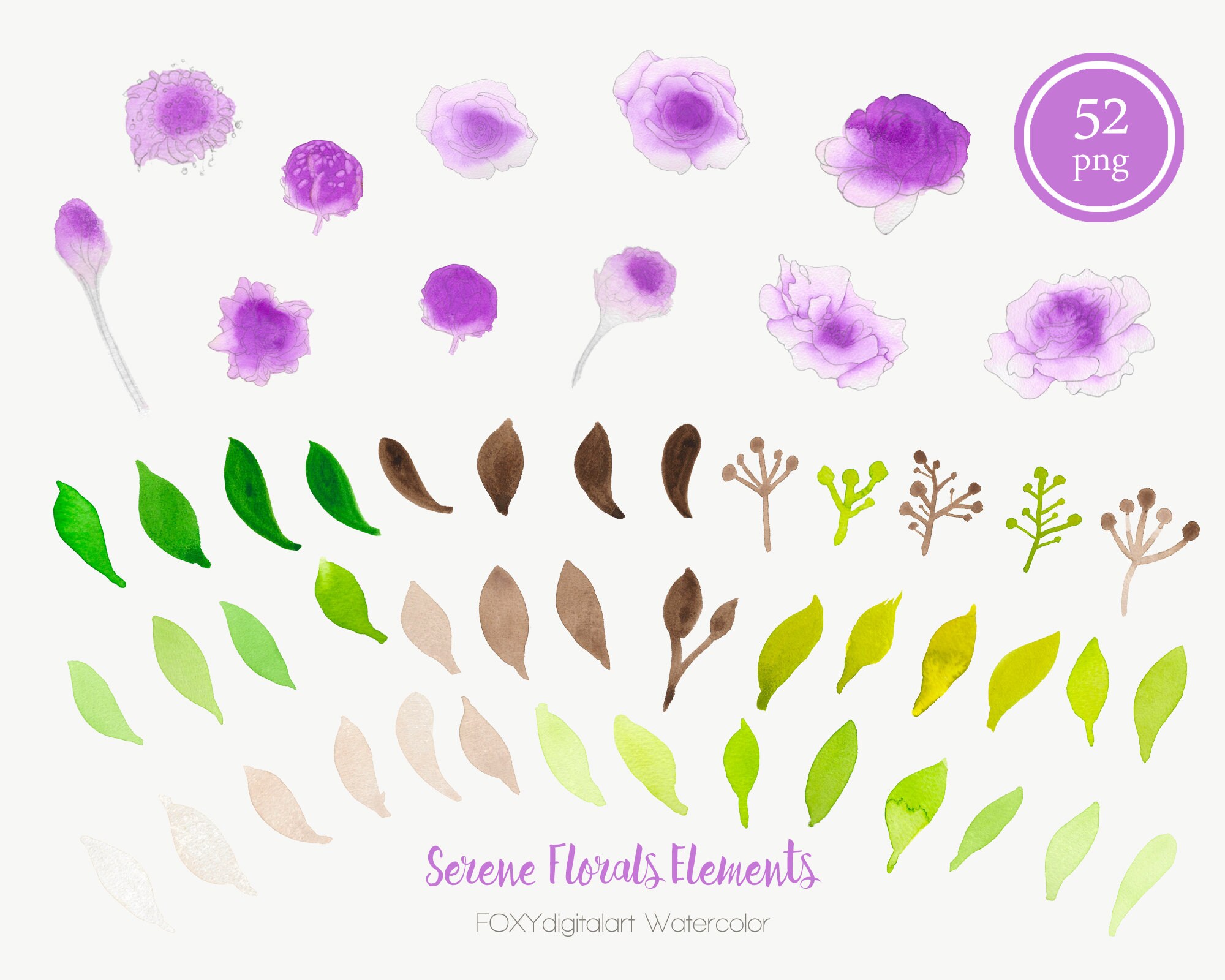 Watercolor Clipart Purple Roses Digital Floral Elements Hand - Etsy