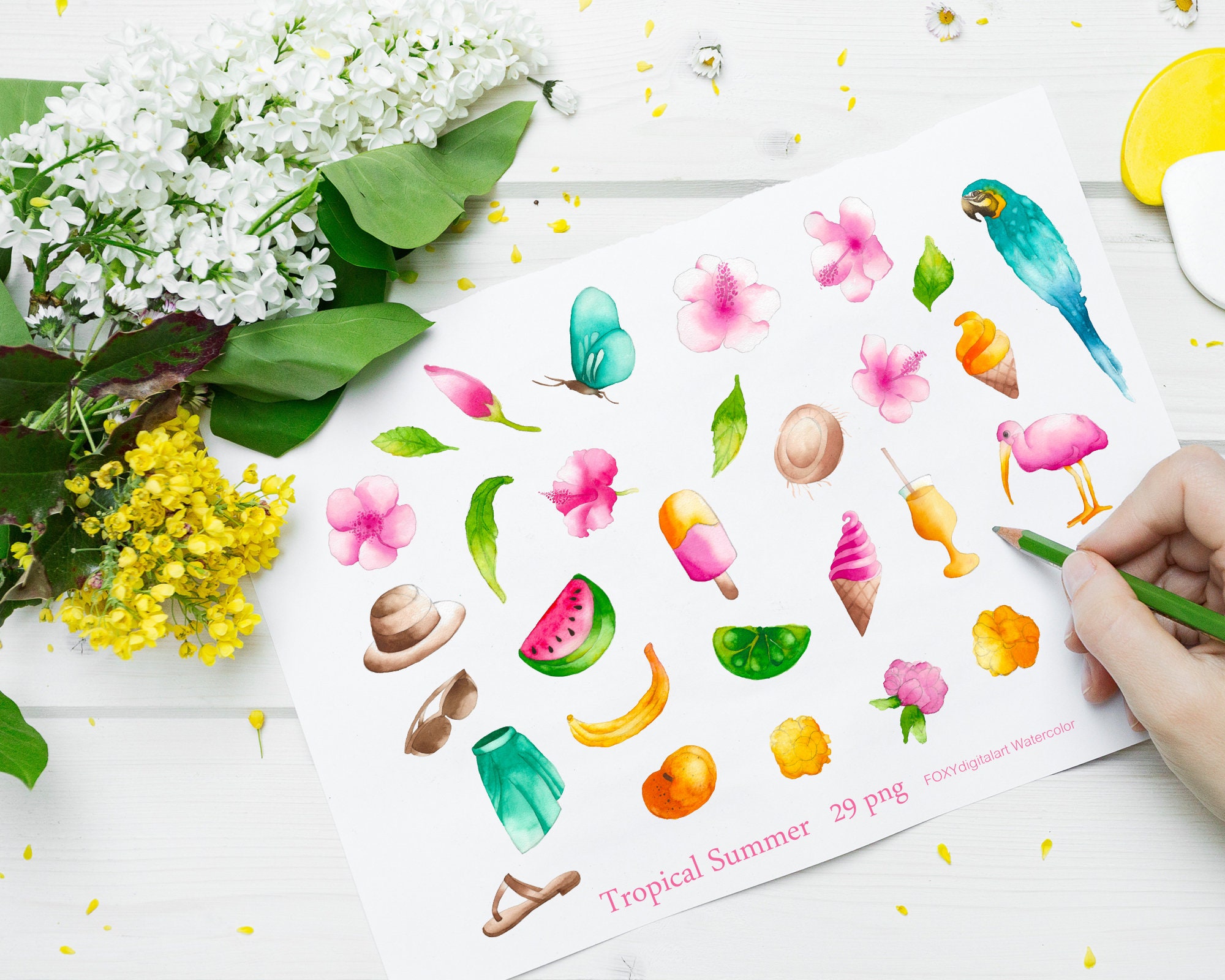 Tropical Clip Art Watercolor Summer Clipart Set Parrot - Etsy