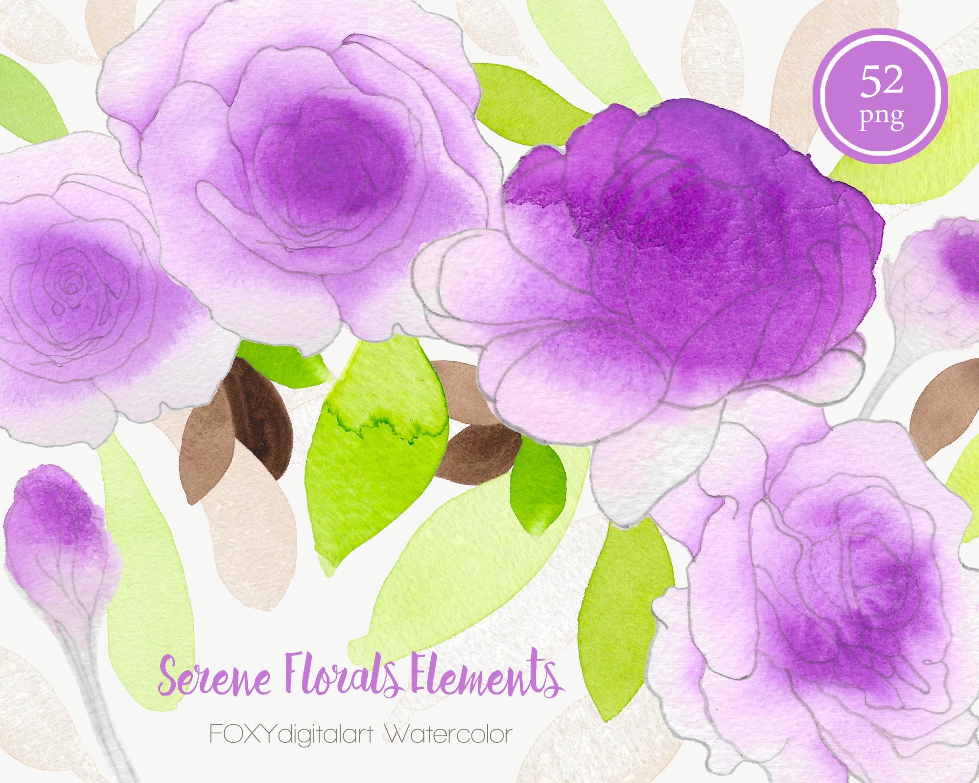 Watercolor Clipart Purple Roses Digital Floral Elements Hand - Etsy