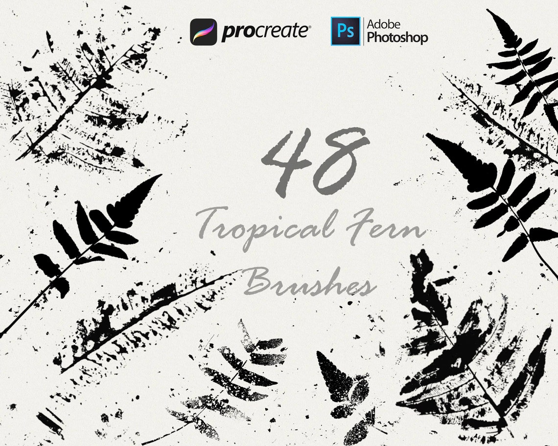 Fern Leaves Procreate Brush Stamps, Photoshop Fern Brushes, Fern Leaf ...