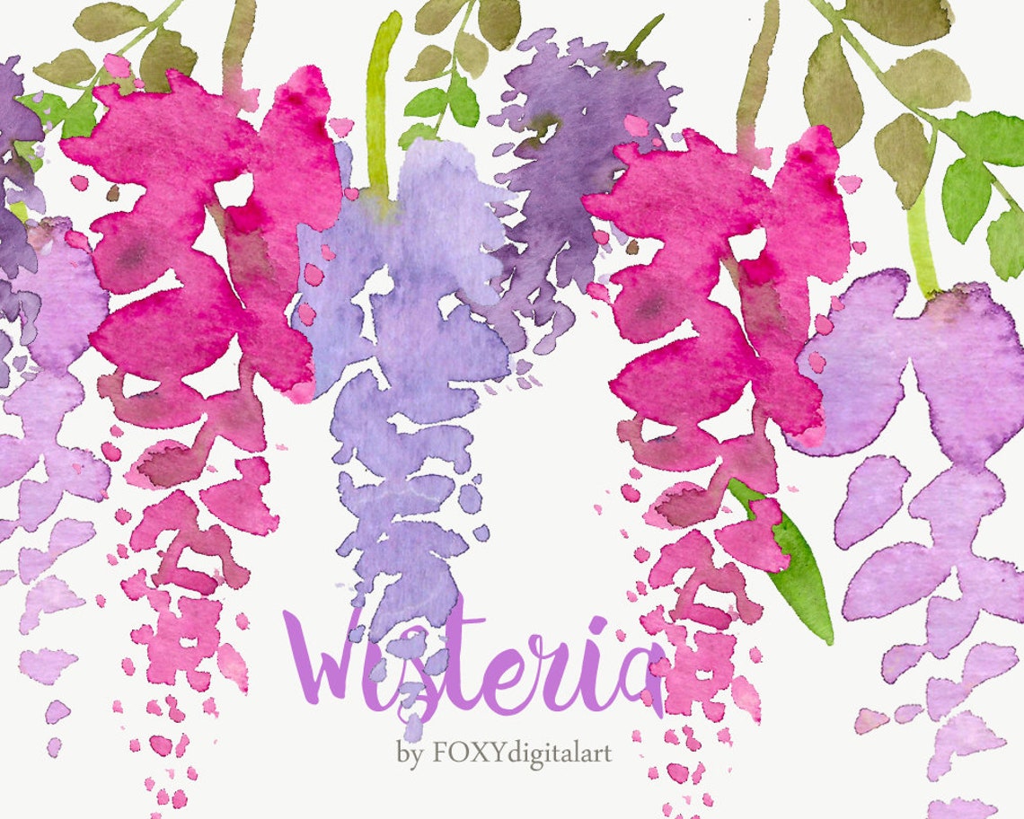Watercolor Flowers Wisteria Clipart Aquarelle Floral Set - Etsy