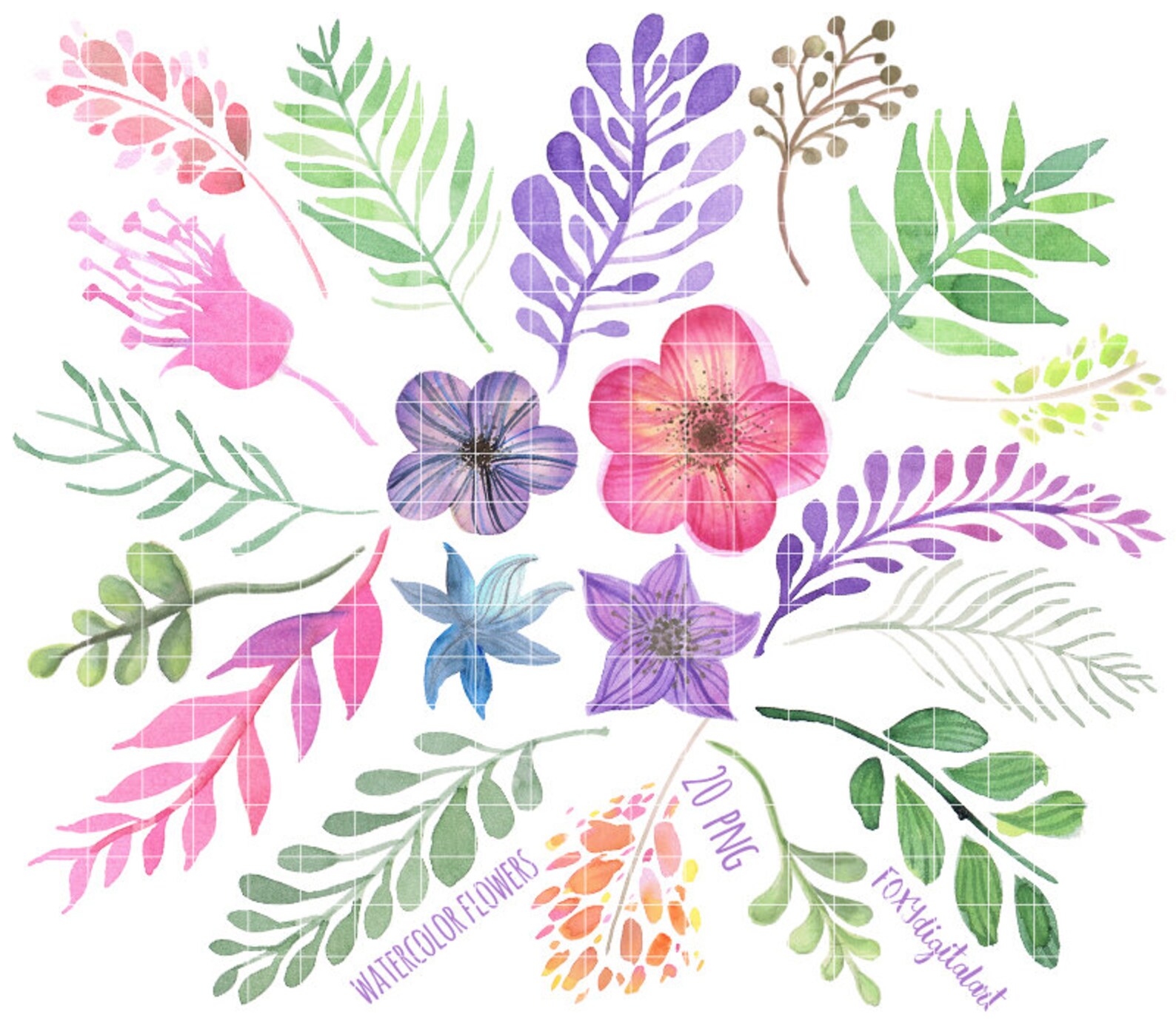 Digital Clipart Watercolor Flowers Clipart, Hand Painted Watercolor ...