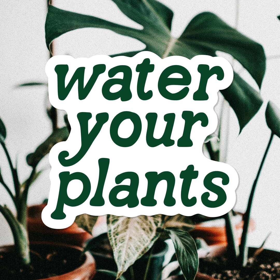 Water Your Plants Sticker: Retro Font, Plant Lover Vinyl Decal - Etsy