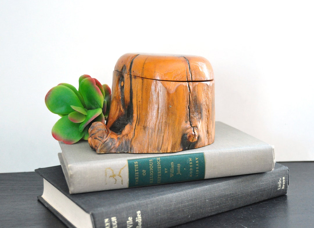 Vintage Tree Stump Wooden Trinket Box - Etsy