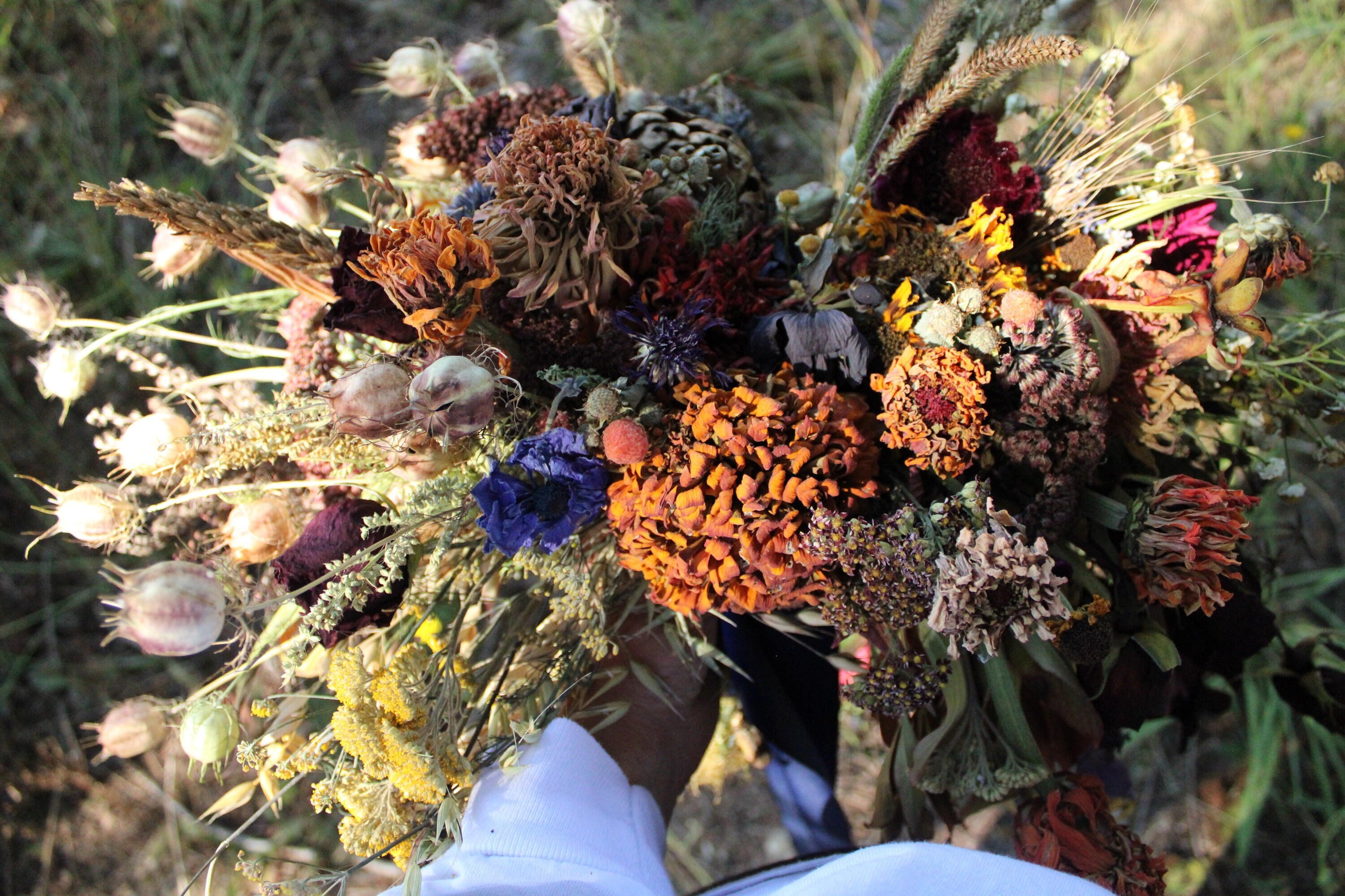 Dried flower bouquet rust orange and navy dried flower | Etsy