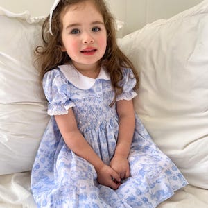 Blue Easter Bunny Toile Smocked Dress - Etsy