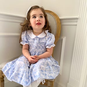 Blue Easter Bunny Toile Smocked Dress - Etsy