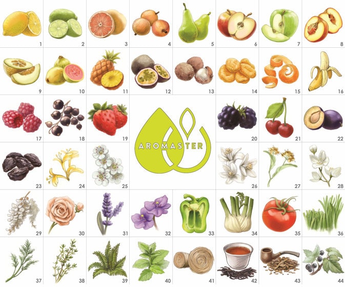 Master Wein-Aroma-Set (88 Aromen), Wein-Aromarad enthalten - Etsy.de