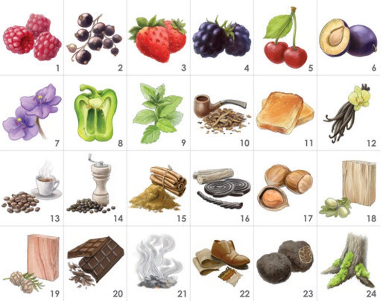 Rotwein-Aroma-Set (24 Aromen), Wein-Aromarad enthalten - Etsy.de