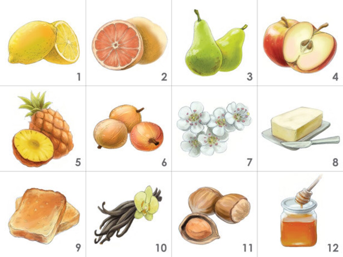 White Wine Aroma Kit - 12 Aromas (incl. Wine Aroma Wheel) - Etsy