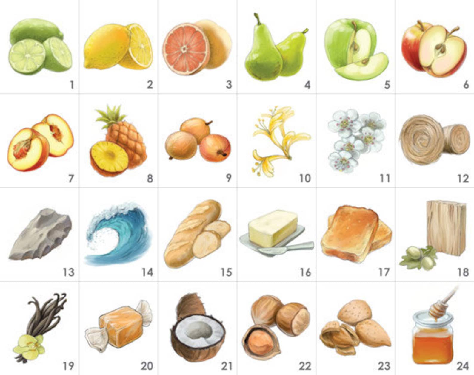 White Wine Aroma Kit - 24 Aromas (incl. Wine Aroma Wheel) - Etsy