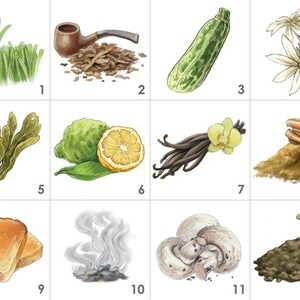 Tea Aroma Kit - 12 Aromas for Tea Tasting and Education - Etsy