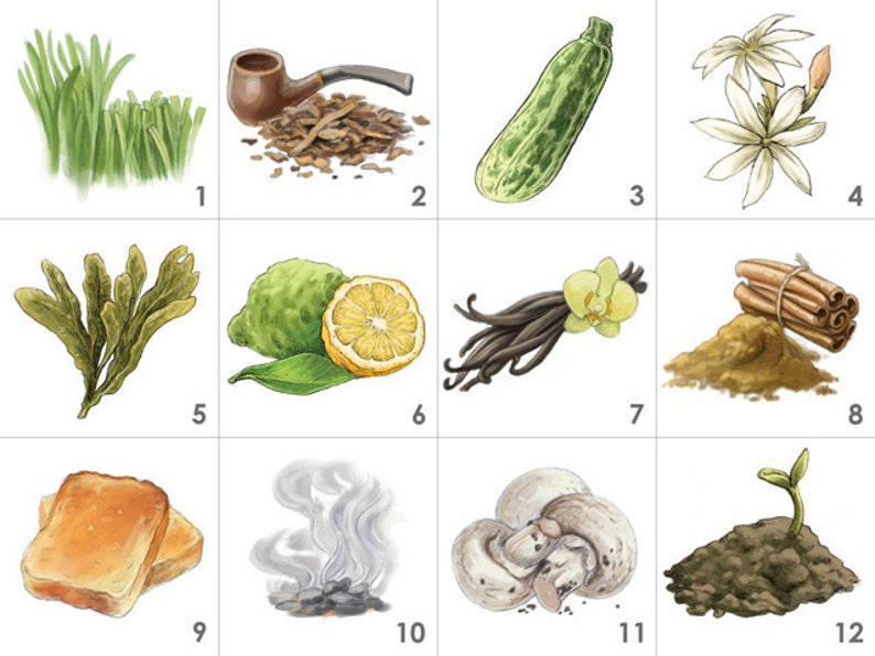 Tea Aroma Kit - 12 Aromas for Tea Tasting and Education - Etsy