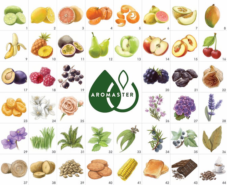 Master Whisky Aroma Tasting Kit - 88 Whisky Aromas (the Whisky Aroma ...