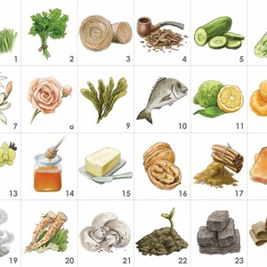 Tea Aroma Kit - 24 Aromas for Tea Tasting and Education - Etsy