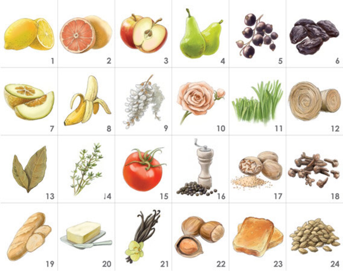 Beer Aroma Kit - 24 Aromas for Beer Tasting and Education - Etsy