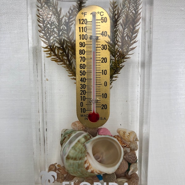 Novelty Thermometer - Etsy