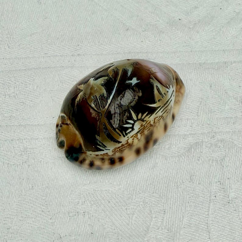Vintage , Miniature Carved Cowrie Shell, Tiger Cowrie Shell With ...