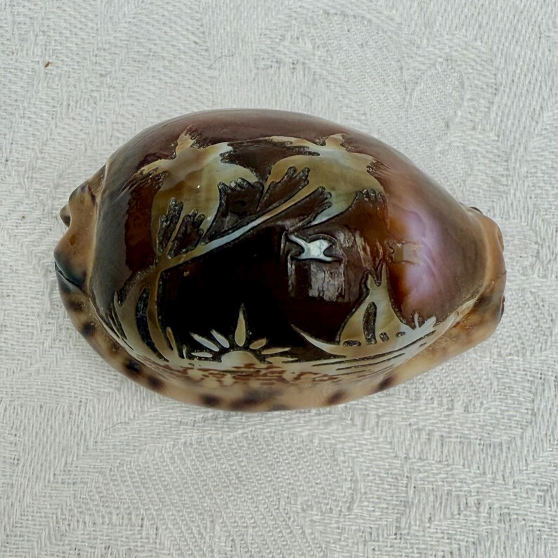 Vintage , Miniature Carved Cowrie Shell, Tiger Cowrie Shell With ...