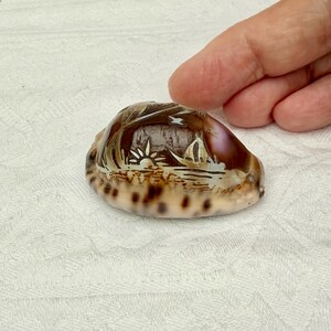 Vintage , Miniature Carved Cowrie Shell, Tiger Cowrie Shell With ...
