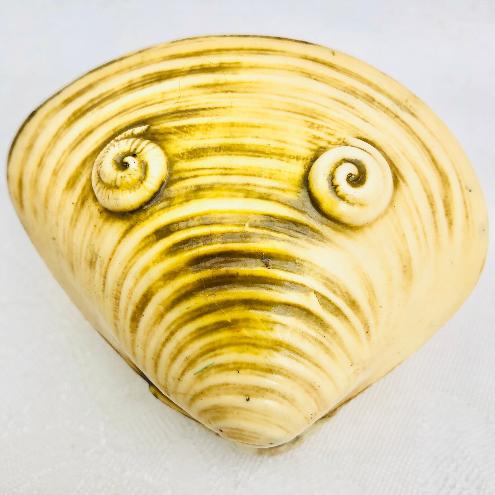 1920s Carved Celluloid Clam Shell With A Miniature Japanese Garden With ...