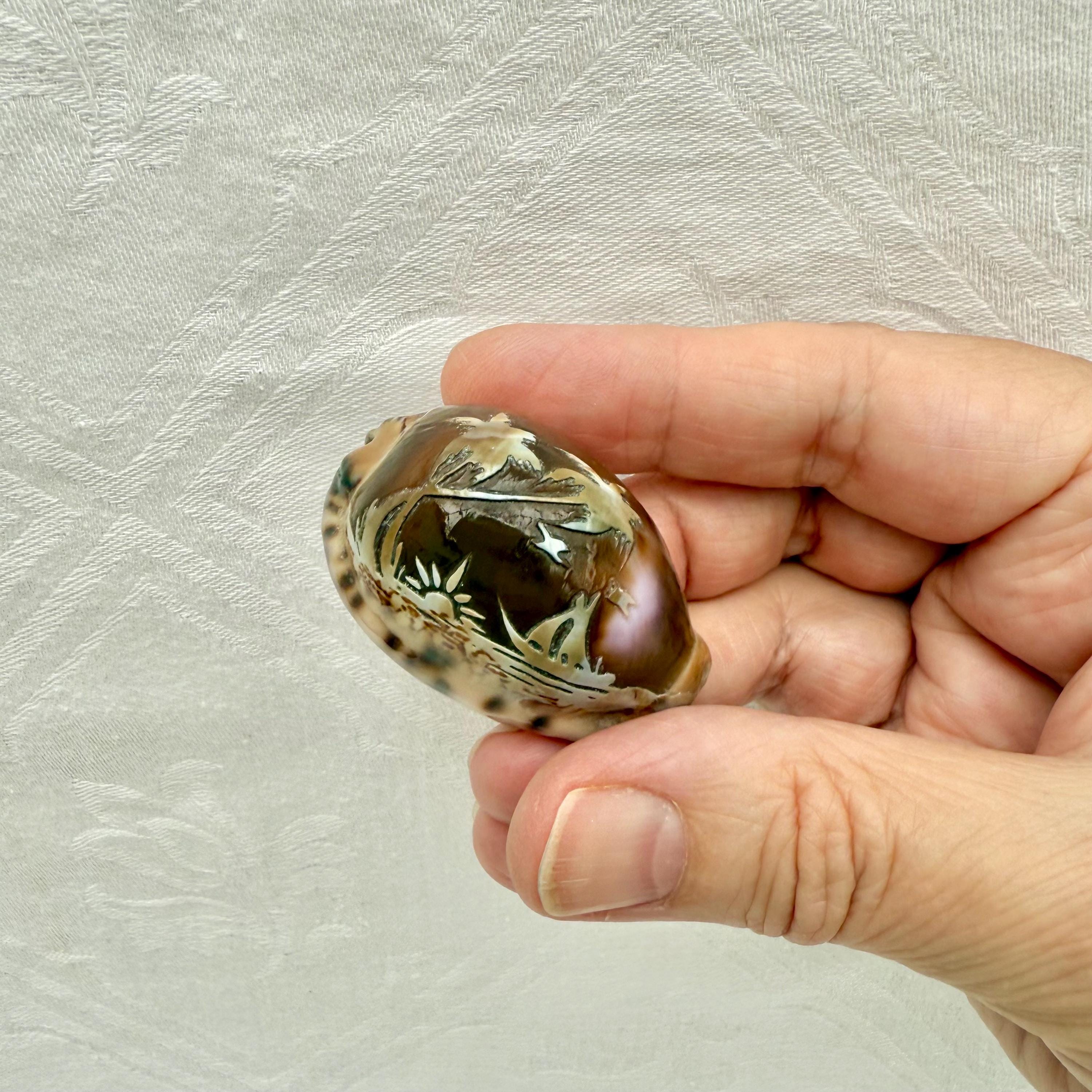 Vintage , Miniature Carved Cowrie Shell, Tiger Cowrie Shell With ...