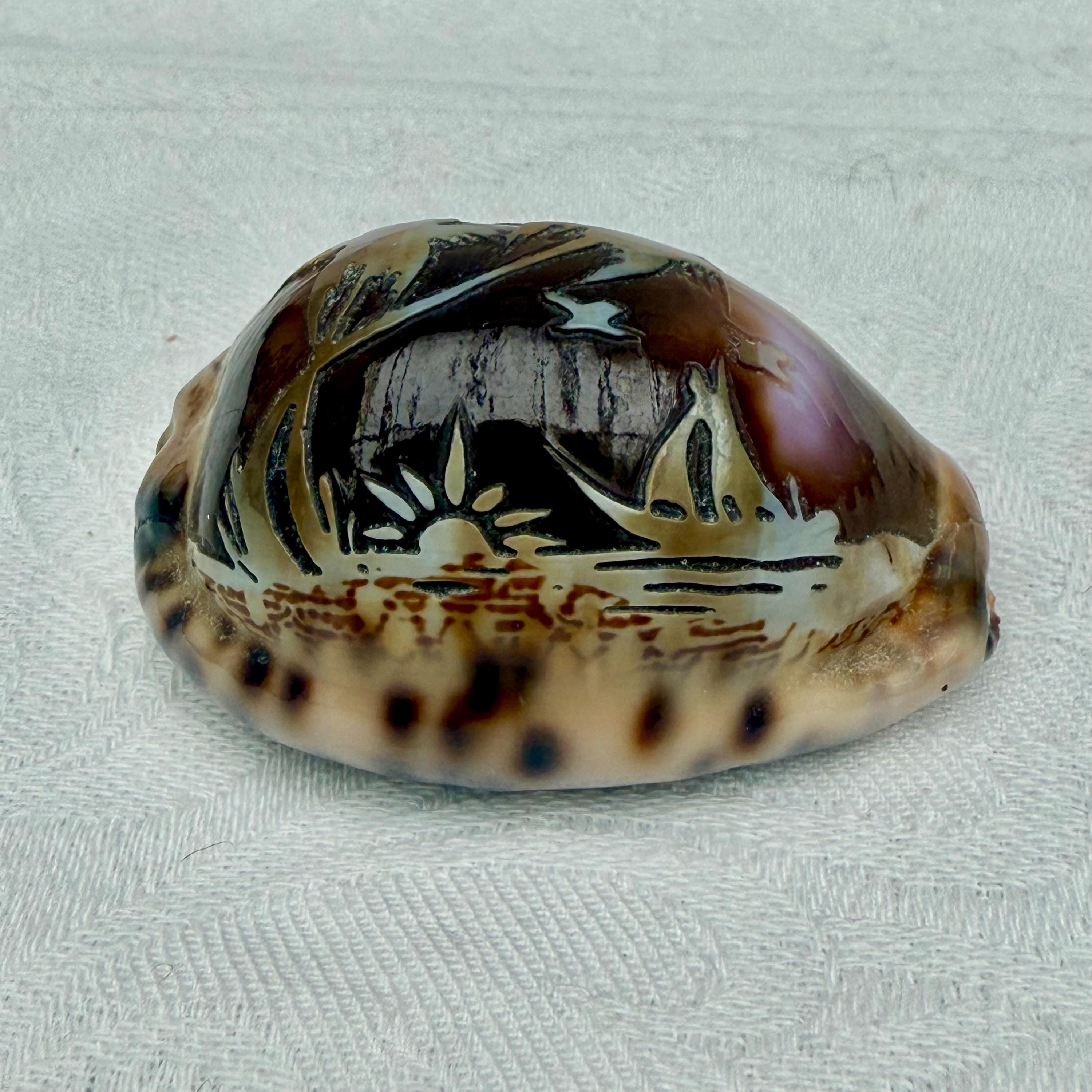 Vintage , Miniature Carved Cowrie Shell, Tiger Cowrie Shell With ...