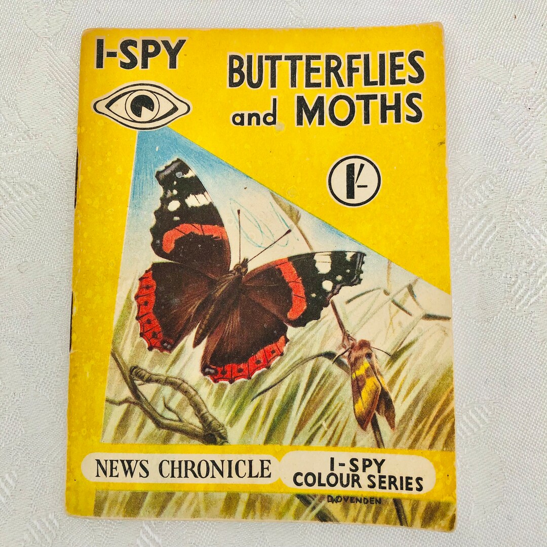 1960s Vintage I-SPY Book, Butterflies and Moths by News Cronicle London ...