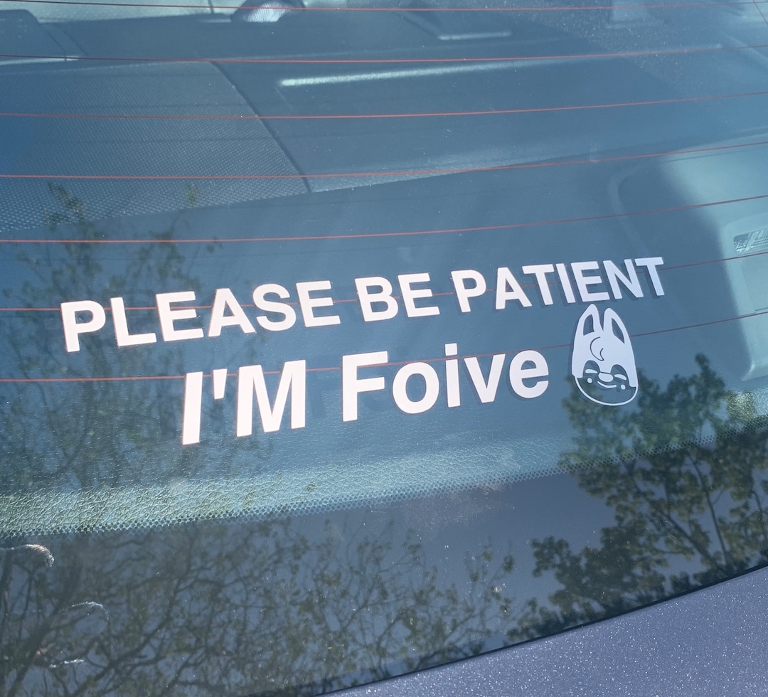 Please Be Patient I'm Foive - SKZ Inspired Decal - Etsy