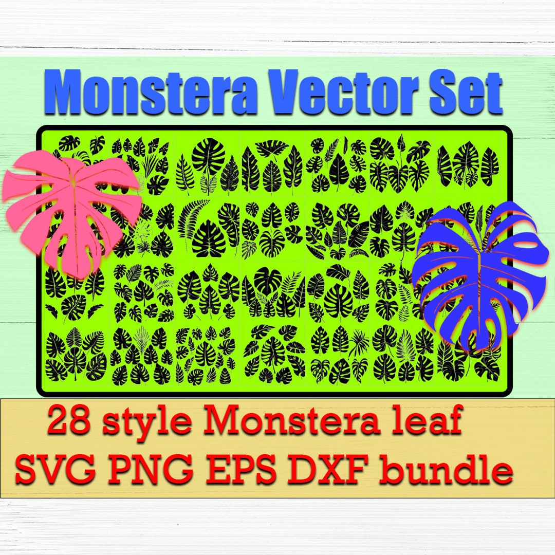 Monstera SVG Bundle, Engraving Vector Clipart, Set of 28 PNG, Card ...
