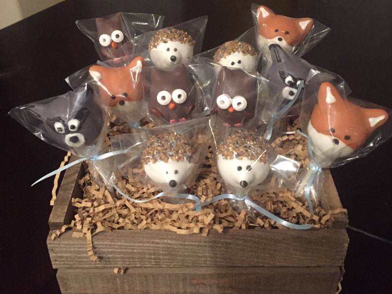 Woodland Animals Hedgehog Owl Raccoon and Fox Cake Pops | Etsy