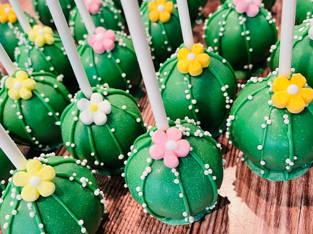 Cactus Cake Pops - Etsy