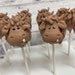 Moo Moo I'm Two, Highland Cow Cake Pops - Etsy