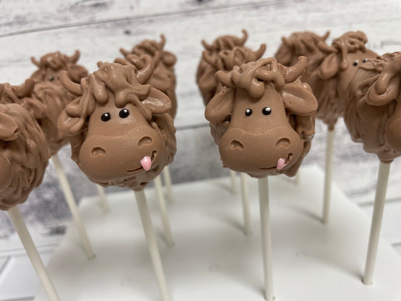 Moo Moo I'm Two, Highland Cow Cake Pops - Etsy
