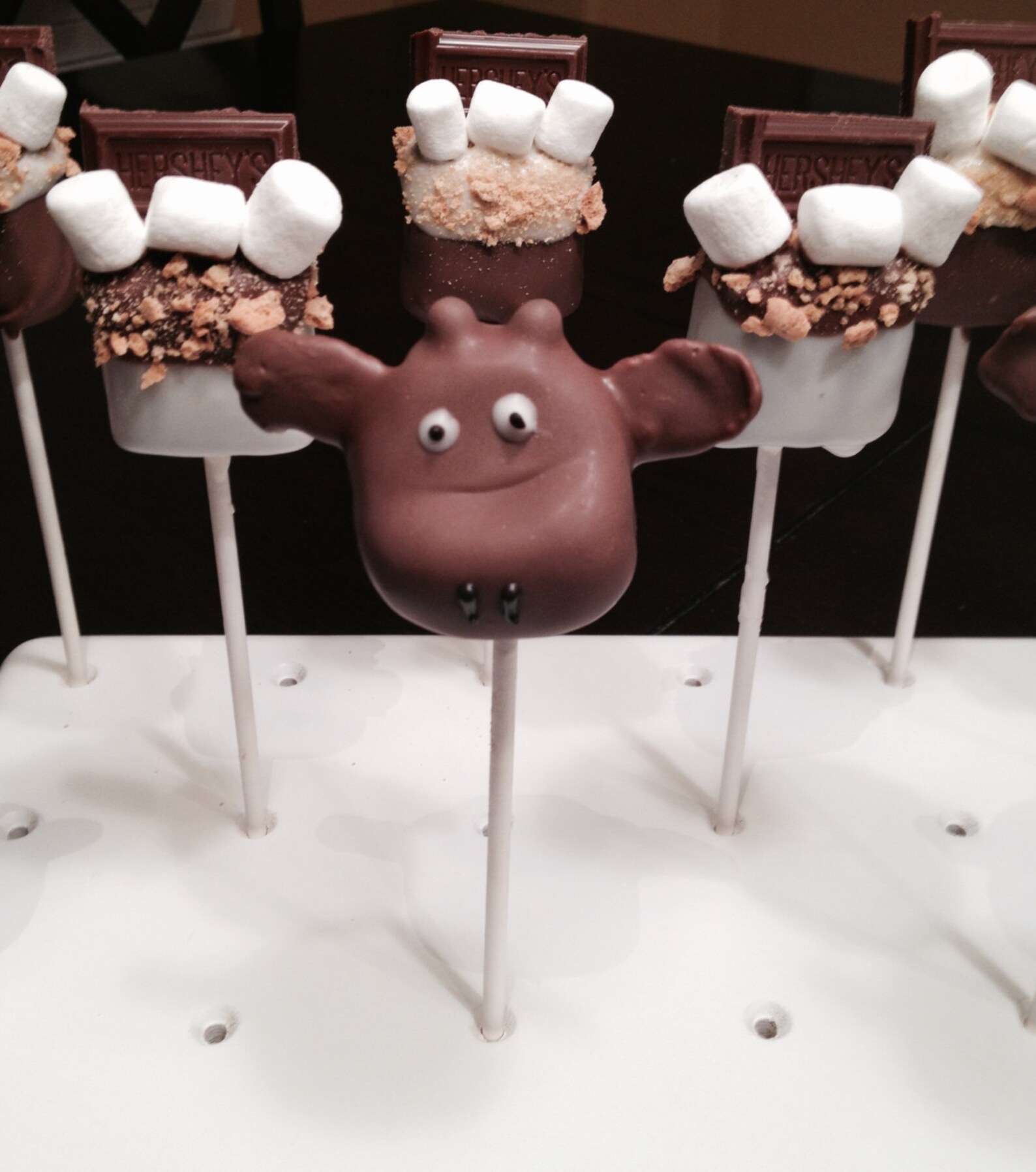 Camping Cake Pops - Etsy