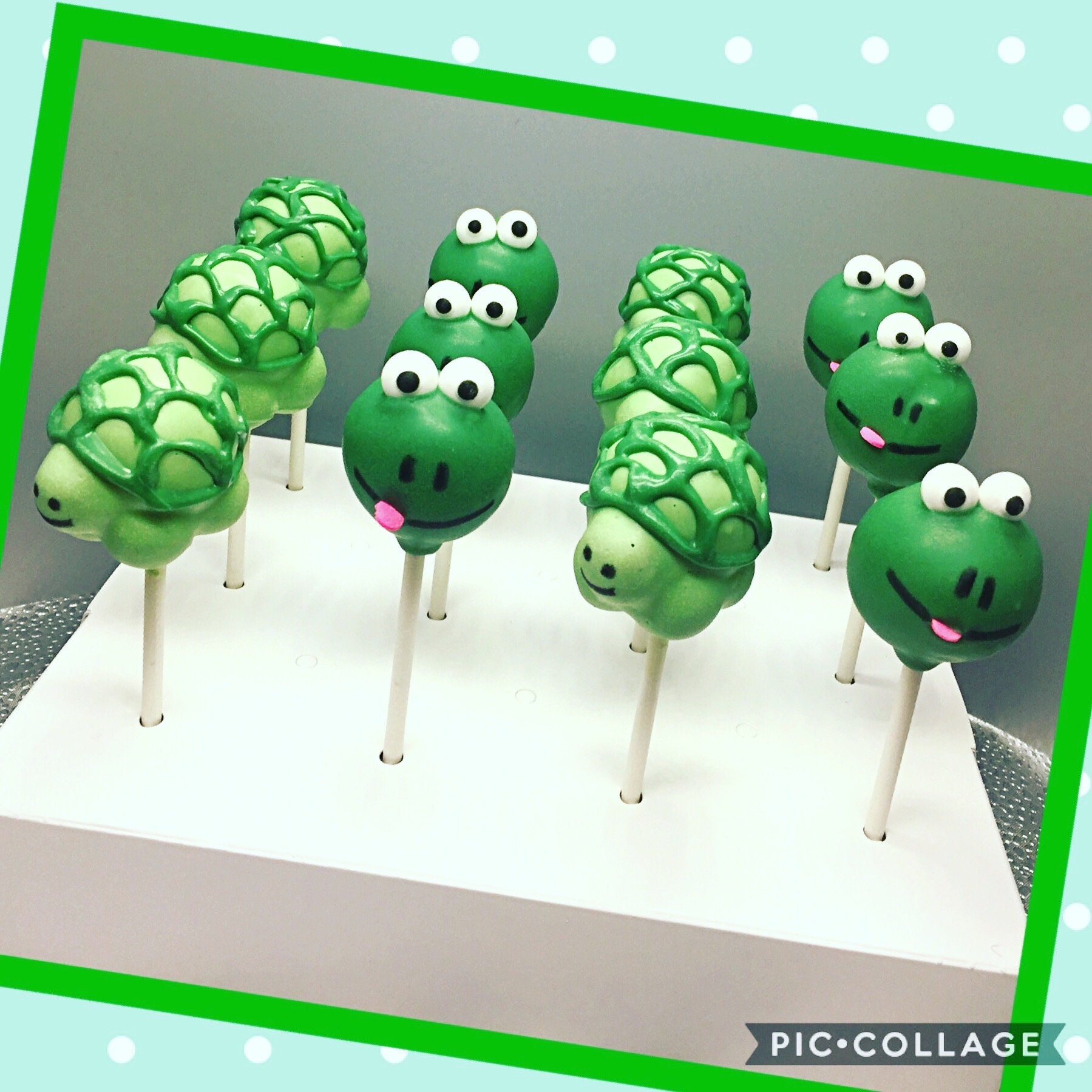 Frog & Turtle Cake Pops - Etsy