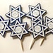 Happy Passover Decorations, Passover Cupcake Toppers, Passover Feast ...