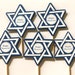 Happy Passover Decorations, Passover Cupcake Toppers, Passover Feast ...