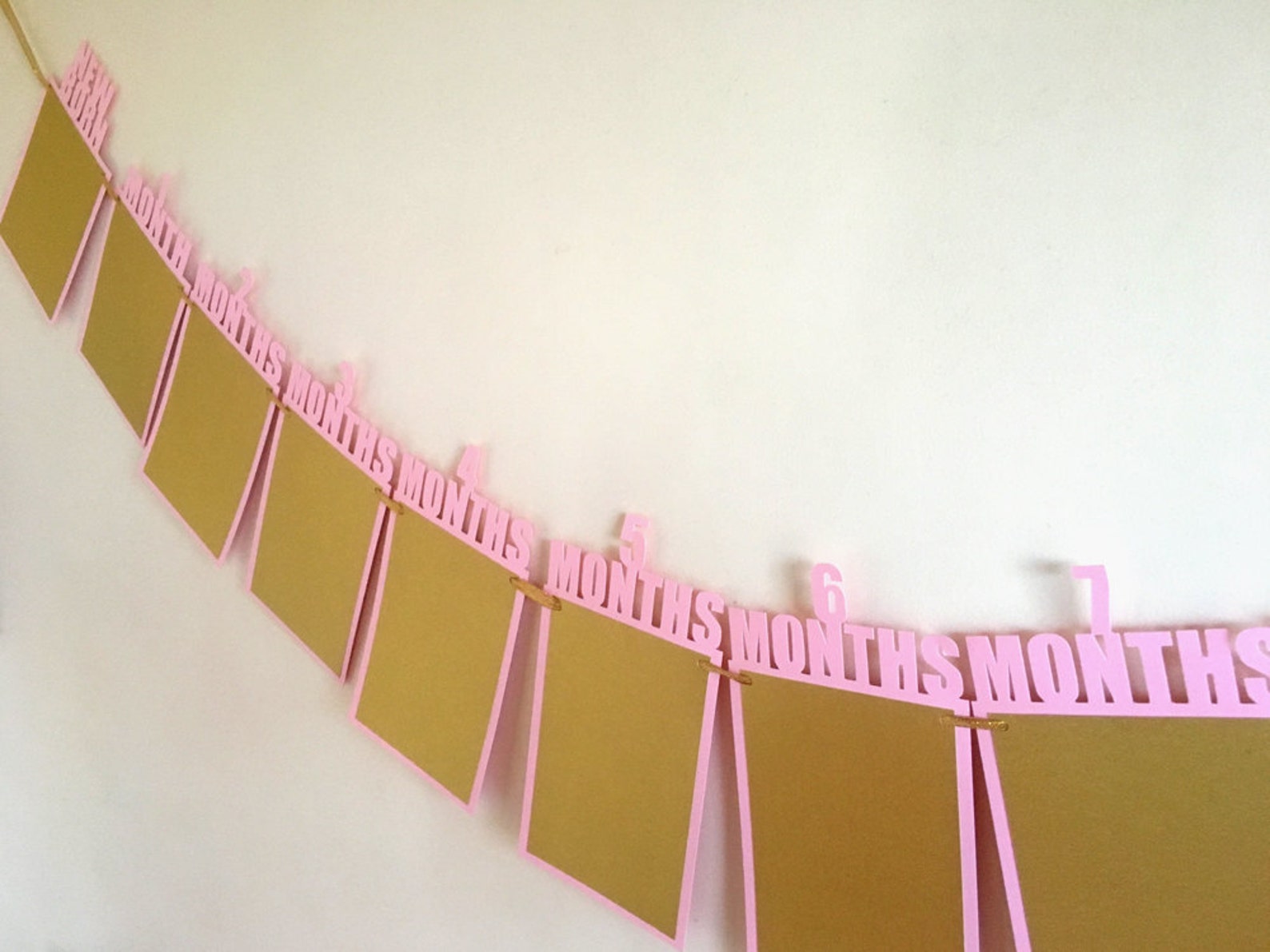 First Birthday Photo Banner, 1st Birthday Banner, First Year Banner, 12 ...