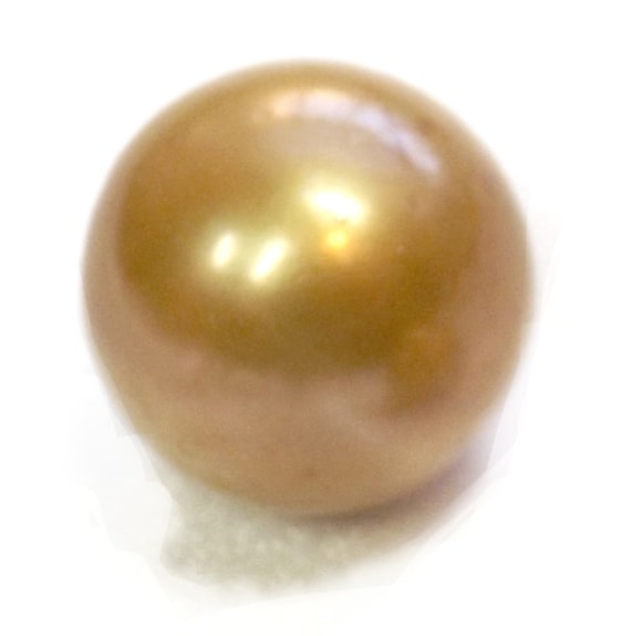 Huge Single Golden Edison Pearl from 14-15mm 15-16mm 16-17mm | Etsy
