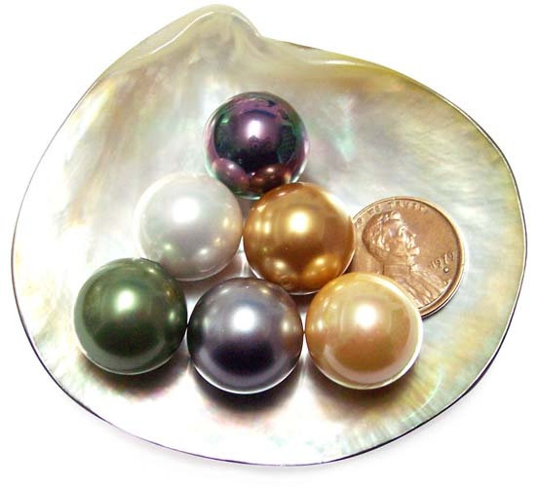 16mm Round AAAA South Sea Shell Pearl Half Drilled in White, Gray ...