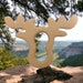 Wood Moose Head Shape - DIY Wood - Etsy