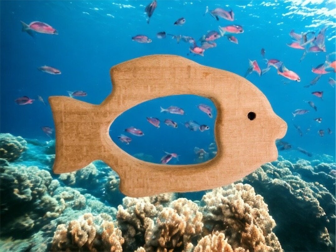 Tropical Fish Wood Shape - DIY Wood - Birch - Beech Wood Toy - Wood ...